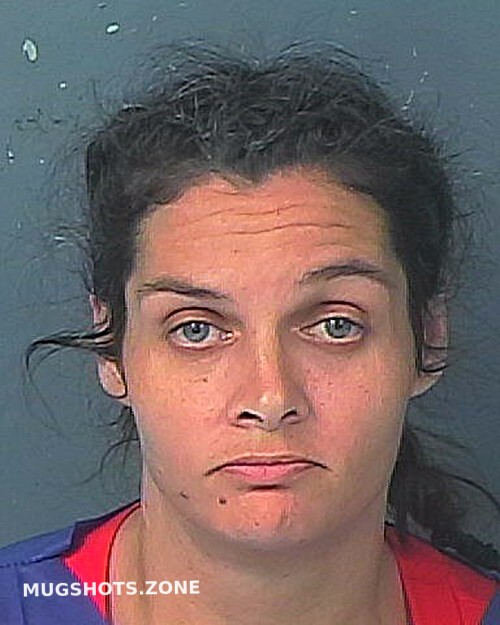 COLVIN MISTY DAWN 11/04/2022 - Hernando County Mugshots Zone