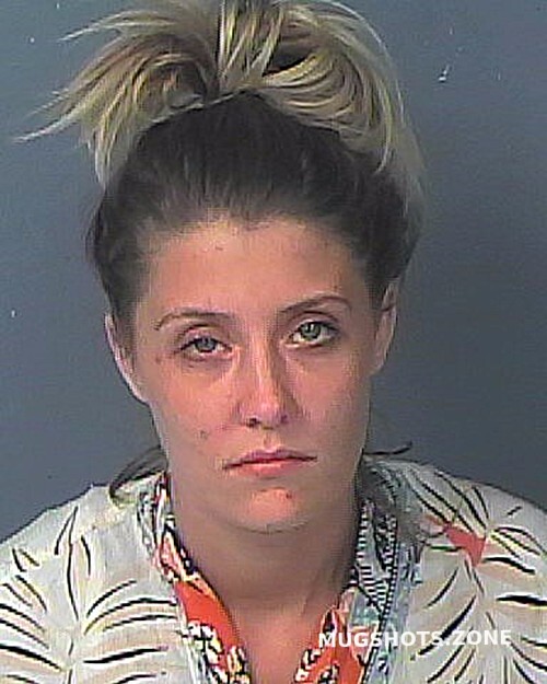 ZAK MORGAN JOANNE 11/06/2022 - Hernando County Mugshots Zone