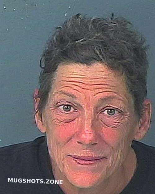 FETTY JULIA ELIZABETH 11/07/2022 - Hernando County Mugshots Zone