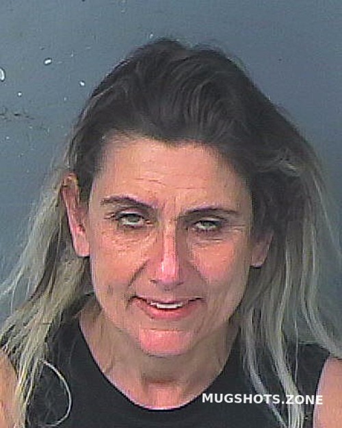 PERNA THERESA MARIA 11/15/2022 - Hernando County Mugshots Zone