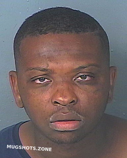LISBON ANDRE LEON 11/17/2022 - Hernando County Mugshots Zone