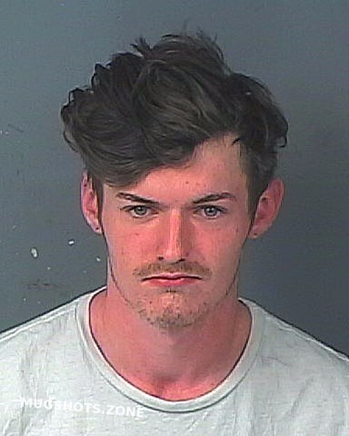 BEARD DAMIEN PAUL 11/20/2022 - Hernando County Mugshots Zone