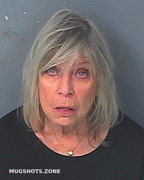 HAYWARD SHARON DIANE 11/23/2022 - Hernando County Mugshots Zone