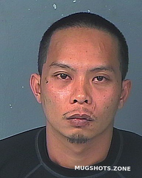 NGUYEN TONY NGOC 11/27/2022 - Hernando County Mugshots Zone
