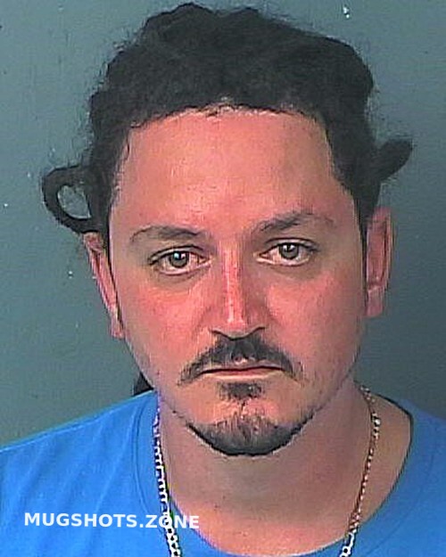 RODRIGUEZ JOVAN MIGUEL 11/28/2022 - Hernando County Mugshots Zone