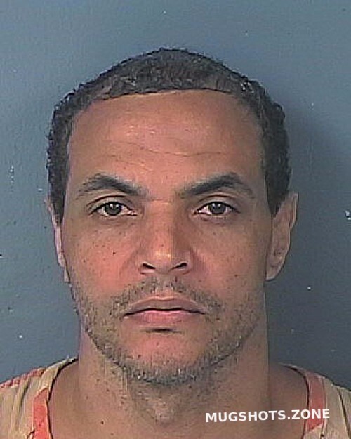 BROWN RICHARD TRAINOR 12/02/2022 - Hernando County Mugshots Zone