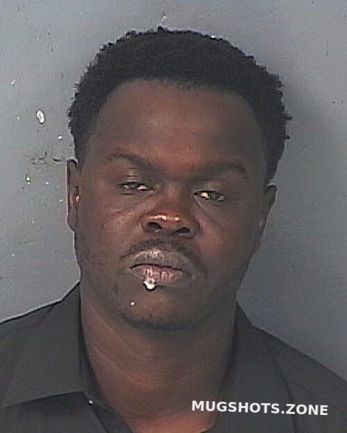 HARRISON DERRICK RAMON 12/03/2022 - Hernando County Mugshots Zone