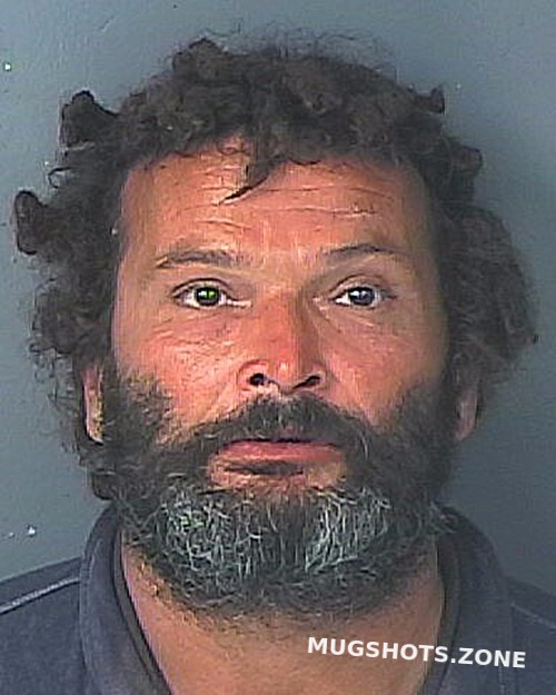 ROMAN JUAN 12/06/2022 - Hernando County Mugshots Zone