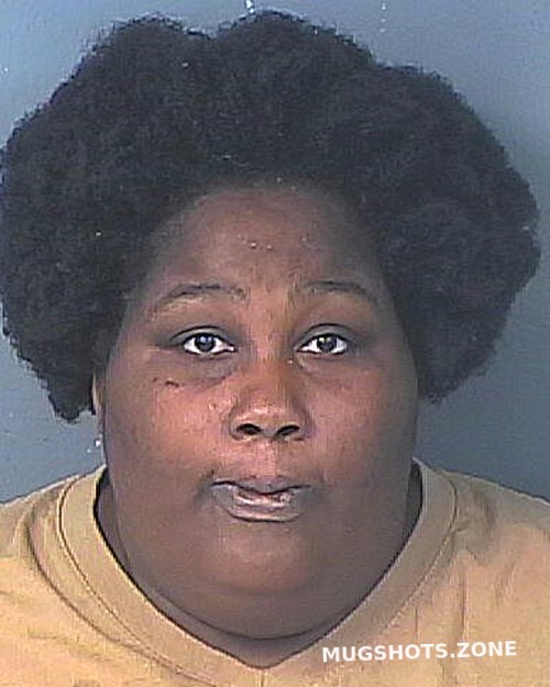 PALMORE SEMONE NIRRE 12/09/2022 - Hernando County Mugshots Zone