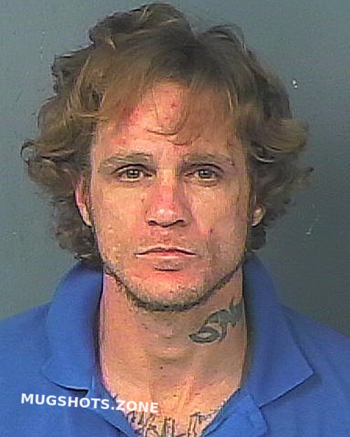 WHITMAN LARRY BRUCE 12/17/2022 - Hernando County Mugshots Zone