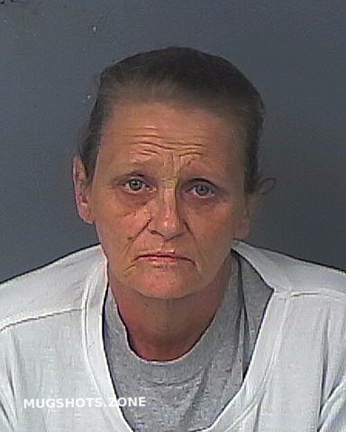 SCHULTZ JESSICA MARIE 12/17/2022 - Hernando County Mugshots Zone