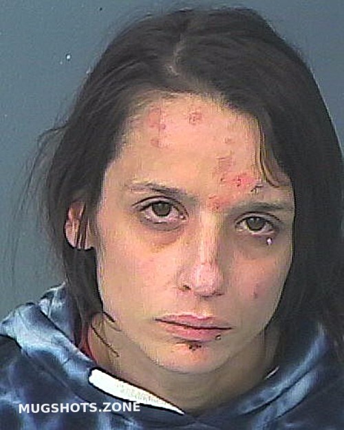 KRENCIK CAITLIN ELIZABETH 12/18/2022 - Hernando County Mugshots Zone