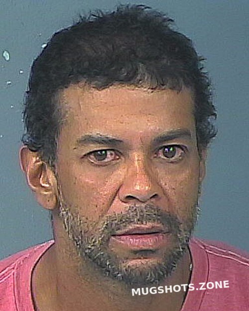 RANKIN ANDREW JAMES 01/06/2023 - Hernando County Mugshots Zone