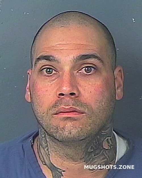 LIPPI MICHAEL ANTHONY 01/08/2023 - Hernando County Mugshots Zone