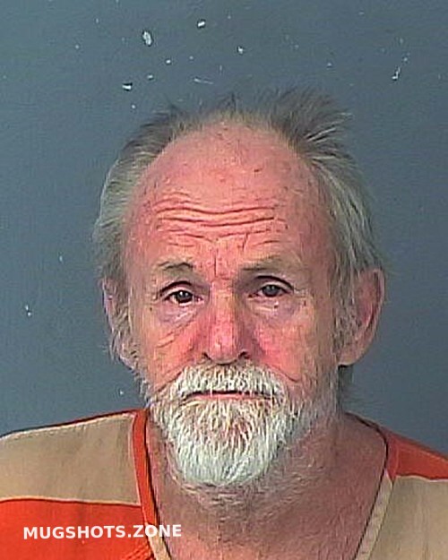 BELL ROBIN THEODORE 01/10/2023 - Hernando County Mugshots Zone