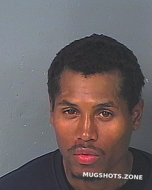 WILLIAMS JULIUS IRVING 01/19/2023 - Hernando County Mugshots Zone