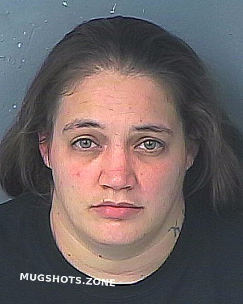 JOHNSON SUSAN NICOLE 01/23/2023 - Hernando County Mugshots Zone