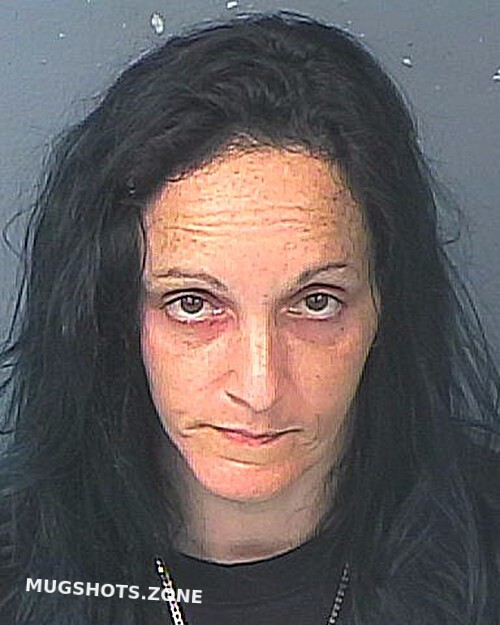NICHOLSON AMANDA TONQUIN 01/29/2023 - Hernando County Mugshots Zone