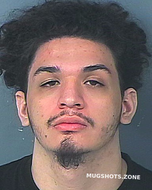 ALVAREZ CHRISTOPHER 02/06/2023 - Hernando County Mugshots Zone