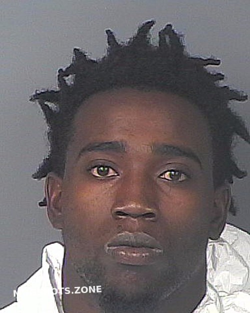 ROBINSON SHELDON RENARD 02/08/2023 - Hernando County Mugshots Zone