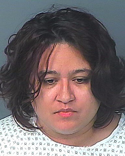 GONZALEZ JANIRA ANNETTE 02/10/2023 - Hernando County Mugshots Zone