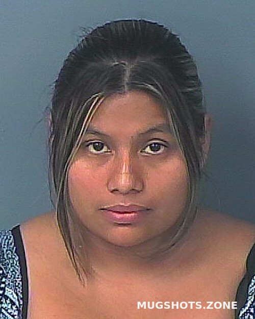RAMIREZ PEREZ LEDYS 02/14/2023 - Hernando County Mugshots Zone