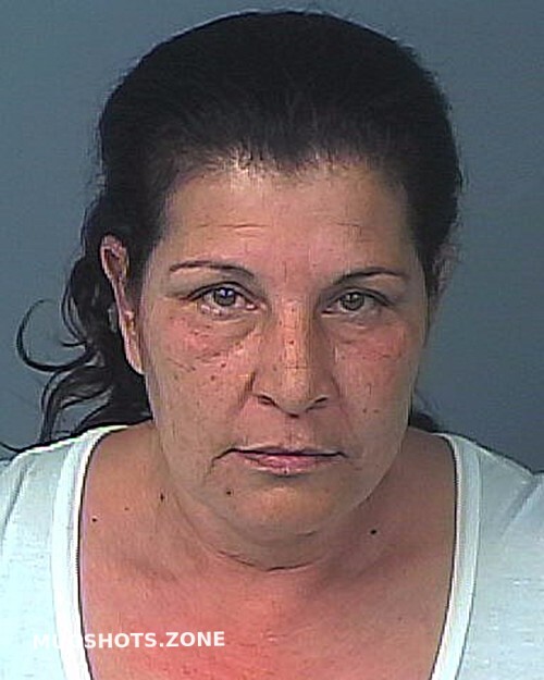 PIZARRO TONYA LEE 02/22/2023 - Hernando County Mugshots Zone