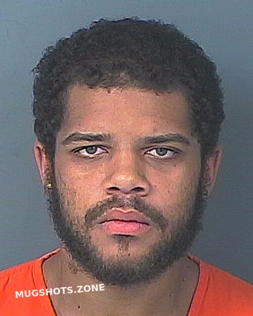 ROBINSON JIDDES DEVON COTTER 02/23/2023 - Hernando County Mugshots Zone