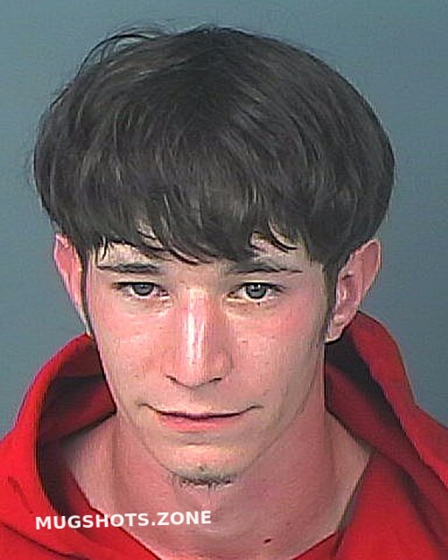 ASHMORE SHAWN JORDAN 02/23/2023 - Hernando County Mugshots Zone