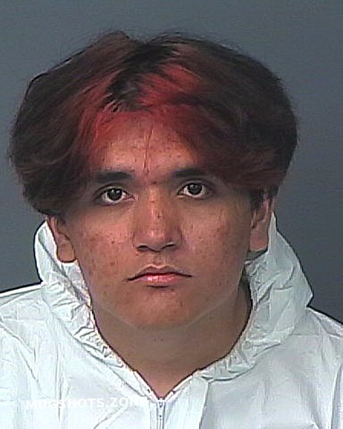 OSORIO ISAIAH 03/01/2023 - Hernando County Mugshots Zone