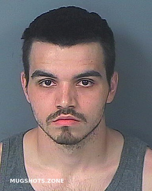 PERON JOHN MICHAEL 03/09/2023 - Hernando County Mugshots Zone