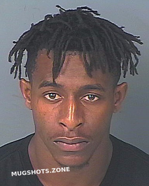 GIBSON LAMAR LACARLOS 03/10/2023 - Hernando County Mugshots Zone