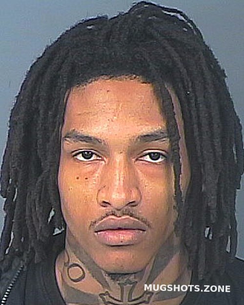 POWELL QUANTEZ 03/16/2023 - Hernando County Mugshots Zone