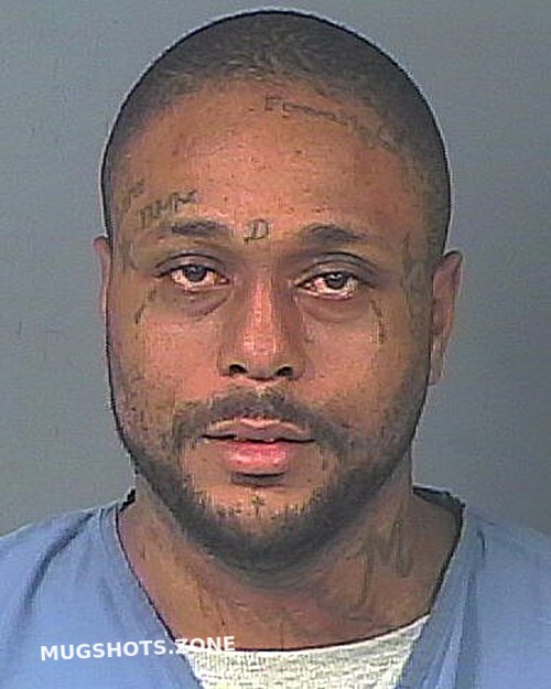 DAVIS OSCAR DAN 03/20/2023 - Hernando County Mugshots Zone