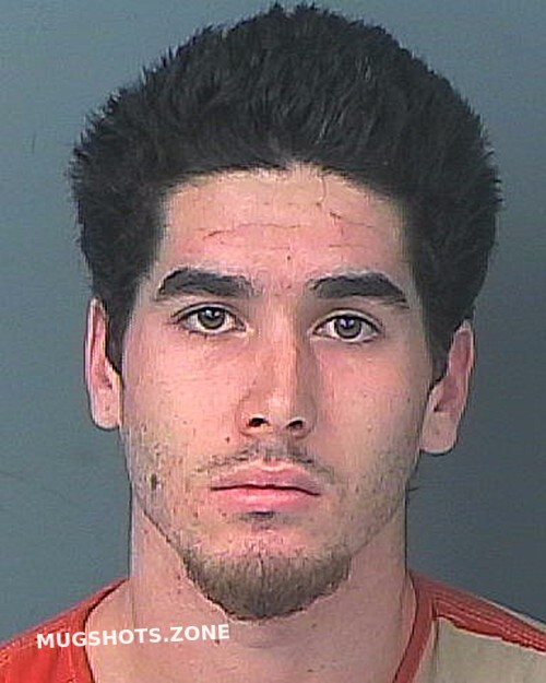 STORM PAYTON MATTHEW 03/28/2023 - Hernando County Mugshots Zone