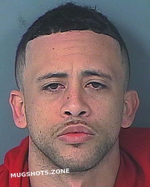 CARTAGENA MATTHEW EVAN 04/11/2023 - Hernando County Mugshots Zone