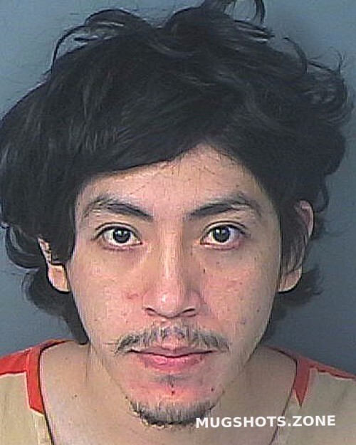 LARA JUAN 04/25/2023 - Hernando County Mugshots Zone