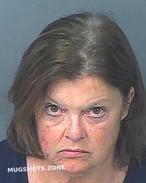BELANGER BRENDA ELAINE 05/13/2023 - Hernando County Mugshots Zone