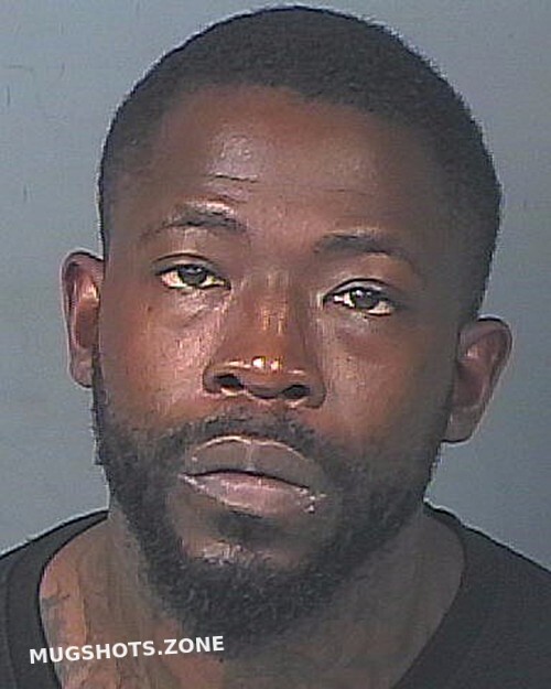 GLOVER WILLIAM XAVIER 05/15/2023 - Hernando County Mugshots Zone