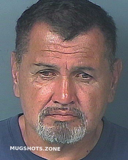 IRIZARRY JOSE DANIEL BONILLA 05/15/2023 - Hernando County Mugshots Zone
