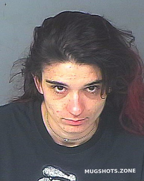 ROSE CASEY MARIE 05/18/2023 - Hernando County Mugshots Zone