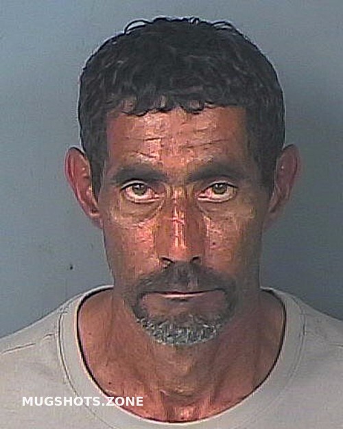 REYES ROBERT LUIS 05/23/2023 - Hernando County Mugshots Zone