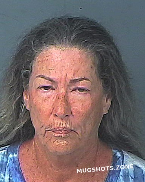 EDWARDS NANCY 06/04/2023 - Hernando County Mugshots Zone