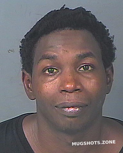 ELDER ANTONIO DERREL 06/05/2023 - Hernando County Mugshots Zone