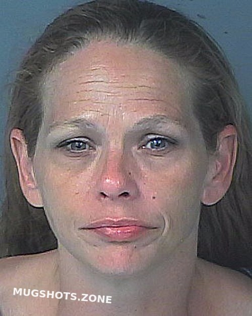 DIX JENNIFER ARIN 06/14/2023 - Hernando County Mugshots Zone