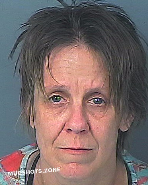 SHEA JESSICA ANN 06/19/2023 - Hernando County Mugshots Zone