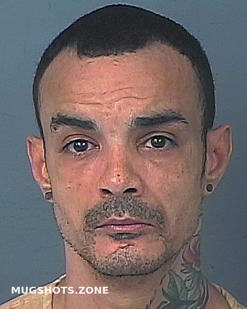 DANYLUK ISAAC TONY 06/20/2023 - Hernando County Mugshots Zone