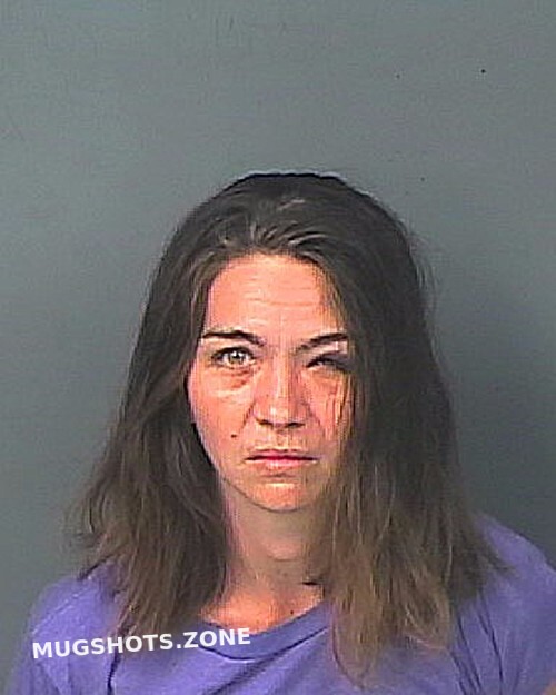 MEADOWS NICHOLE RENEE 07/01/2023 - Hernando County Mugshots Zone