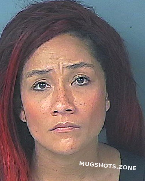 KINCHEN CHRISTY LEE 07/12/2023 - Hernando County Mugshots Zone