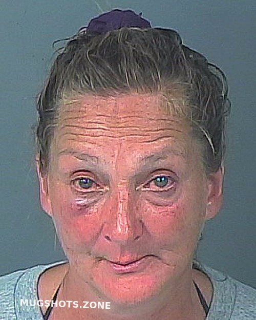JACOBS CATHY DEE 07/28/2023 - Hernando County Mugshots Zone